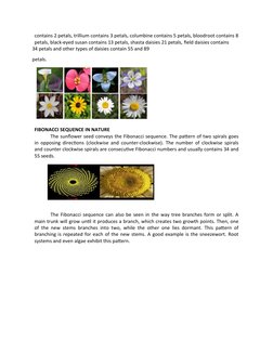 Patterns of Mathematics in Nature | PDF | Pattern | Mathematics