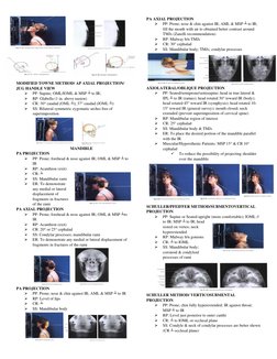 Skull Radiography Positioning Methods | PDF | Skull | Anatomy