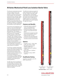 Isolation Barrier Valves - Catalog | PDF | Valve | Actuator