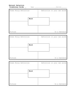 Natural Selection Vocabulary Guide | PDF