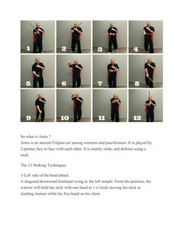 12 Basic Strikes in Arnis Techniques | PDF | Individual Sports | Combat ...