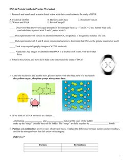DNA & Protein Synthesis Worksheet | PDF | Rna | Dna