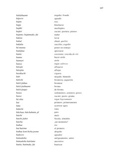 Vocabulario de la Lengua Mayo | PDF