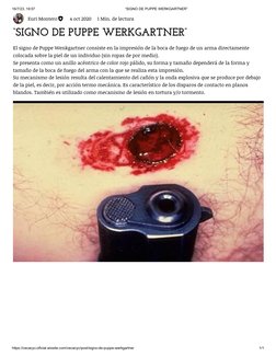 Signo de Puppe Werkgartner en balística | PDF | Libros para adolescentes