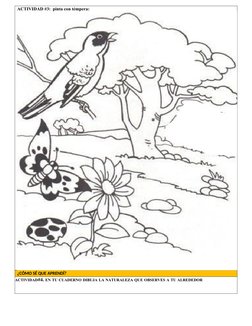 Actividades de Naturaleza para Niños | PDF