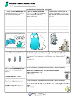 Microscopes by Amoeba | PDF | Glass Applications | Physical Sciences