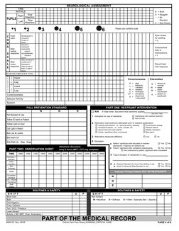 Critical Care Nursing Flow Sheet | PDF | Medicine | Clinical Medicine