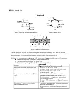 AP Biology Unit 3 FRQs and Answers | PDF