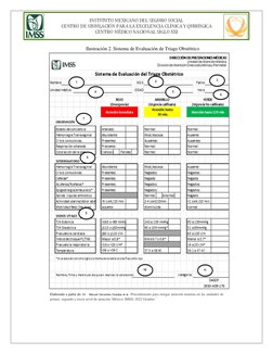 Manual de Código Mater IMSS 2024 | PDF | El embarazo | Parto