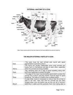 External Anatomy of Farm Animals | PDF