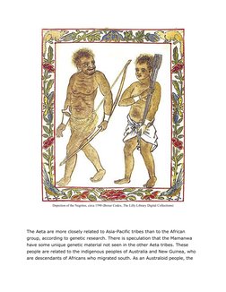Aeta People: Culture and History in the Philippines | PDF
