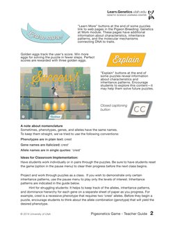 Pigeonetics Game Teacher Guide | PDF | Dominance (Genetics) | Allele