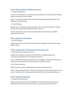 Grade 6 Biology Photosynthesis Worksheet | PDF | Photosynthesis | Plants