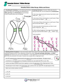 Amoeba Sisters: Alleles and Genes Recap | PDF | Genotype | Allele