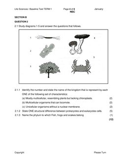 Grade 11 Life Sciences Baseline Test | PDF | Cell (Biology) | Eukaryotes