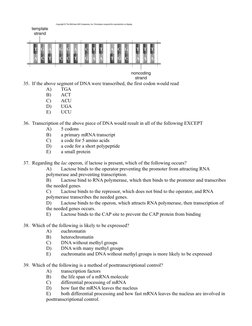 AP Biology Unit 5 Exam Review | PDF | Messenger Rna | Rna