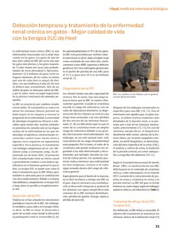 Terapia SUC para Enfermedad Renal en Gatos | PDF | Gatos | Enfermedad ...
