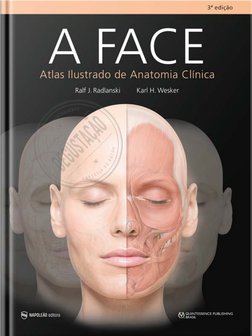 Anatomia das Regiões da Face | PDF | Olho humano | Rosto