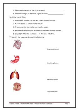 Grade 3 Human Body Worksheet | PDF | Human Body | Animal Physiology