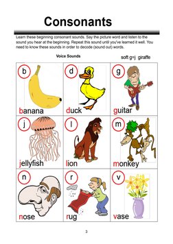 Phonics Lessons - A Complete 61 Lessons Course For Teaching Beginning ...