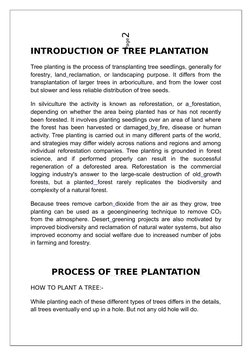 Tree Plantation: Process and Guidelines | PDF