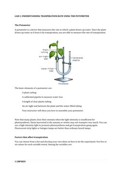 Measuring Transpiration with a Potometer | PDF | Leaf | Stoma