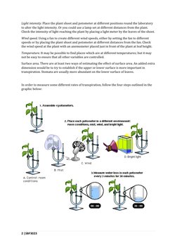Measuring Transpiration with a Potometer | PDF | Leaf | Stoma