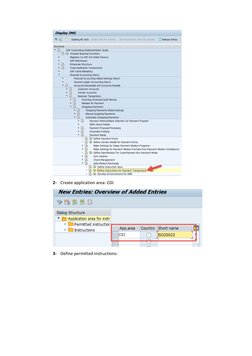 Configuring SAP Instruction Keys for Payments | PDF | Payments | Banks