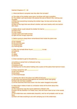 Hatchet Chapters 17-18 Summary | PDF