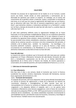Formación y fases del callo óseo | PDF | Hueso | Inflamación