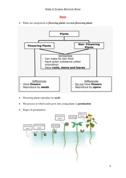 Grade 6 Science Revision Notes | PDF | Flowers | Force