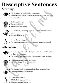 Faye Films: Study Tips & Notes Guide | PDF | Nature