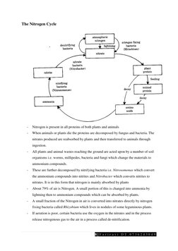 Form 3 Combined Science Biology Notes | PDF | Food Web | Leaf