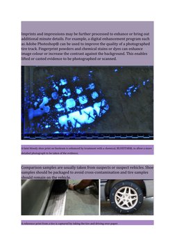 Forensic Analysis of Tire Marks | PDF | Crime Scene | Tire