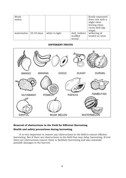 Sdo Aurora Tle10 Afa-Acp q4 m1 | PDF | Vegetables | Fruit