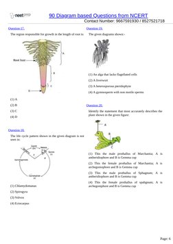 NCERT Diagram-Based Biology Questions | PDF | Virus | Stomach