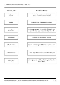 S7 U1 Worksheets | PDF | Cell (Biology) | Human Body
