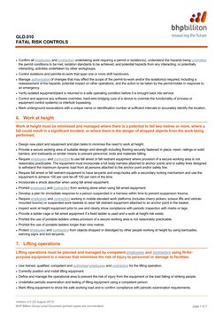 BHP Fatal Risk Control Standards | PDF | Dangerous Goods | Traffic