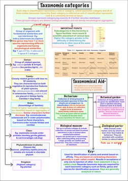 Mind Map of Diversity in Living World | PDF | Taxonomy (Biology ...
