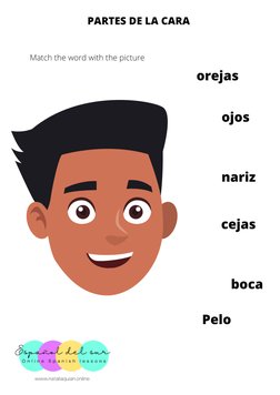 Partes de La Cara en Español | PDF