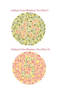 Ishihara Color Test Instructions | PDF | Visual Impairment | Color