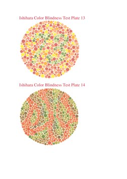 Ishihara Color Test Instructions | PDF | Visual Impairment | Color