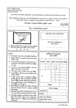 EB Exam Past Papers | PDF
