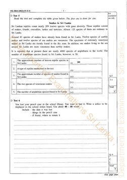 2021 O/L English Past Papers PDF | PDF