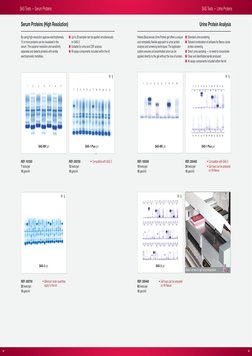 Helena V8 Nexus Capillary Electrophoresis | PDF | Gel Electrophoresis ...