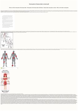 Human Body Weak Points for Self-Defense | PDF | Anatomical Terms Of ...