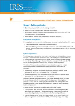 CKD Treatment Guidelines for Cats 2023 | PDF | Chronic Kidney Disease ...