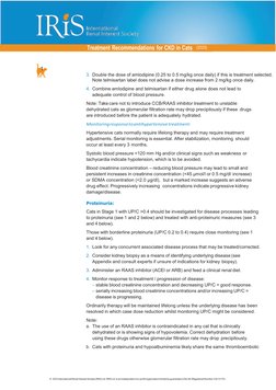 CKD Treatment Guidelines for Cats 2023 | PDF | Chronic Kidney Disease ...