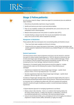 CKD Treatment Guidelines for Cats 2023 | PDF | Chronic Kidney Disease ...