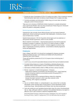 CKD Treatment Guidelines for Cats 2023 | PDF | Chronic Kidney Disease ...